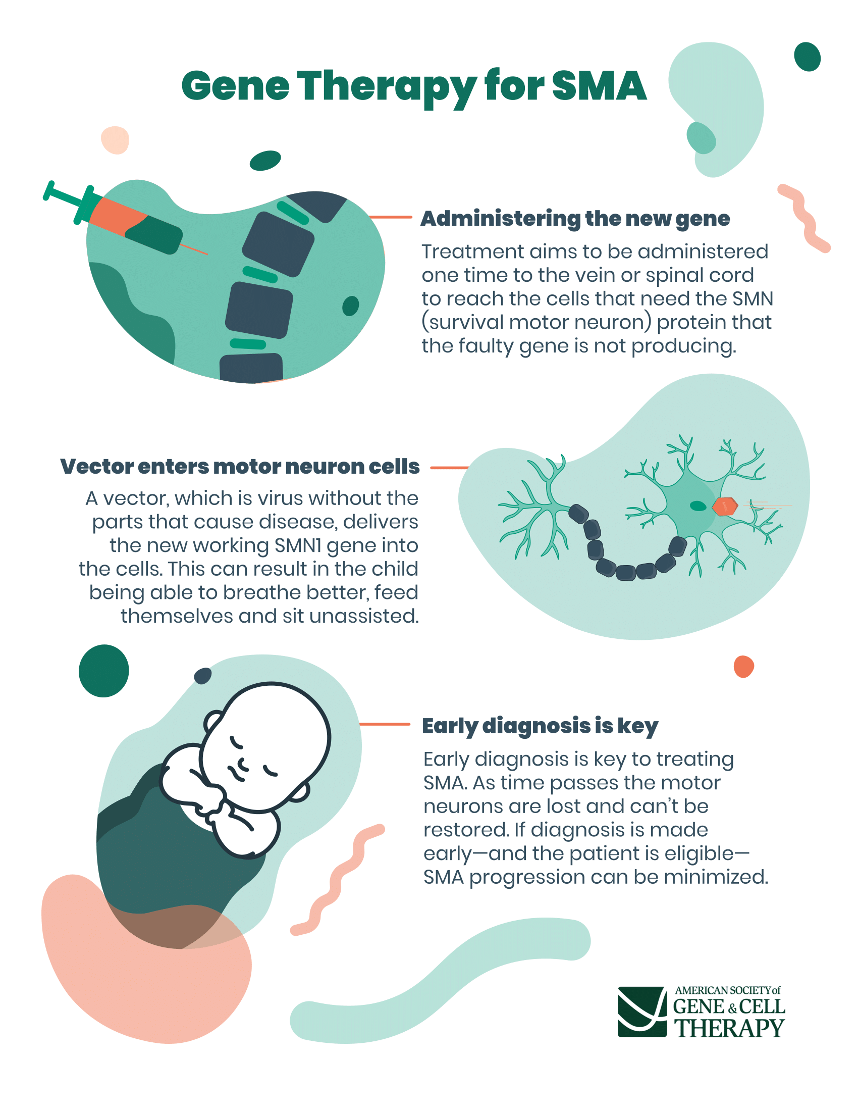 Spinal Muscular Atrophy Asgct American Society Of Gene And Cell Therapy